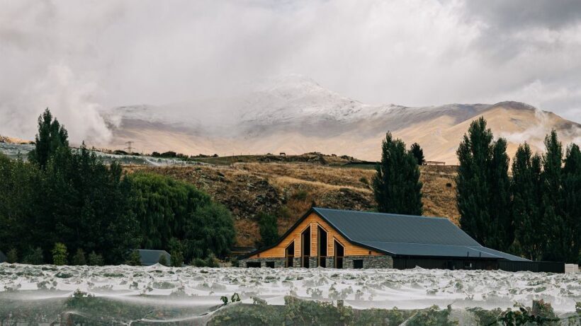 Queenstown: Classic Central Otago Wine Tasting Experience - Who should consider this tour?