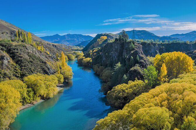 Queenstown Classic Wine Tour: 3 Winery Visits, Cave Tour & Cheese - What Travelers Love