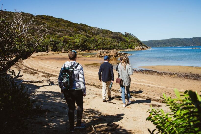 Queenstown: Day Trip to Stewart Island via Scenic Flight - Authentic Experiences and Traveler Feedback
