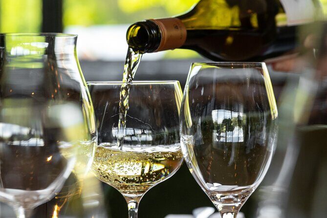 Queenstown Gin, Wine & Beer Tour | Adults Only - Who Will Love This Tour?