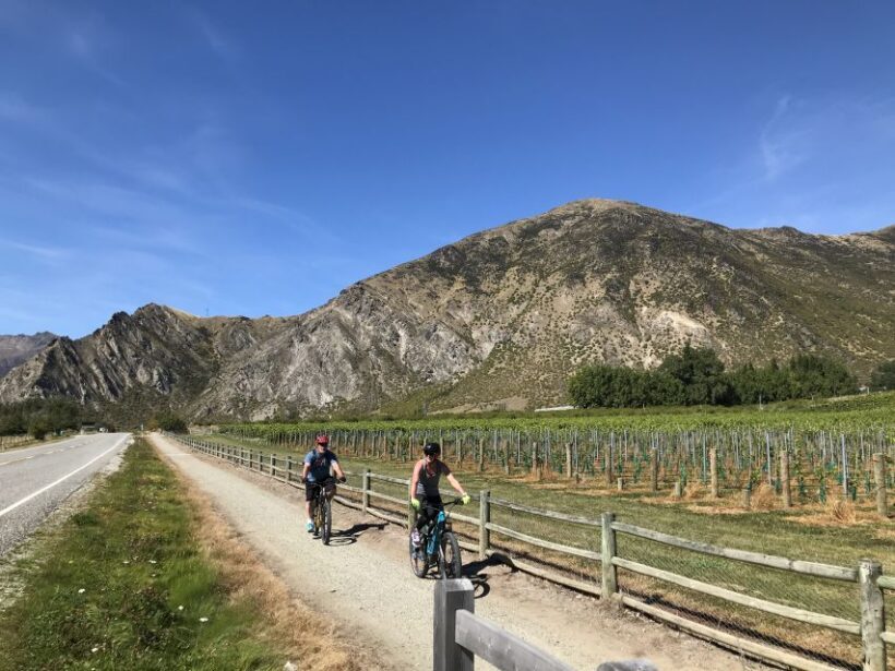 Queenstown: Guided E-Bike Tour with Winery Visits & Tastings - An Introduction to Queenstown’s E-Bike and Wine Tour