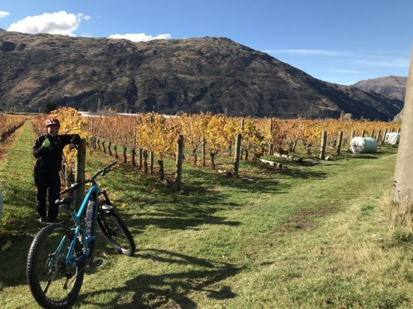 Queenstown: Guided E-Bike Tour with Winery Visits & Tastings - The Sum Up