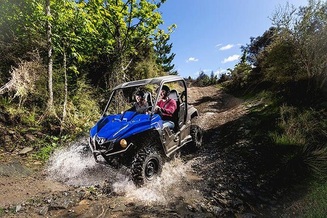Queenstown Guided Self-Drive Buggy Tour - What the Tour Offers: A Closer Look