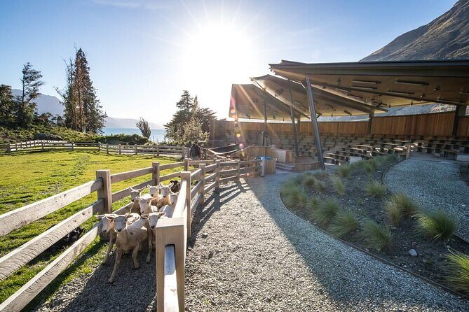 Queenstown Lake Cruise and Walter Peak Farm Adventure - FAQs