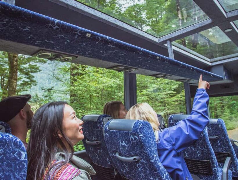 Queenstown: Milford Sound Coach & Cruise Full-Day Trip - Key Points