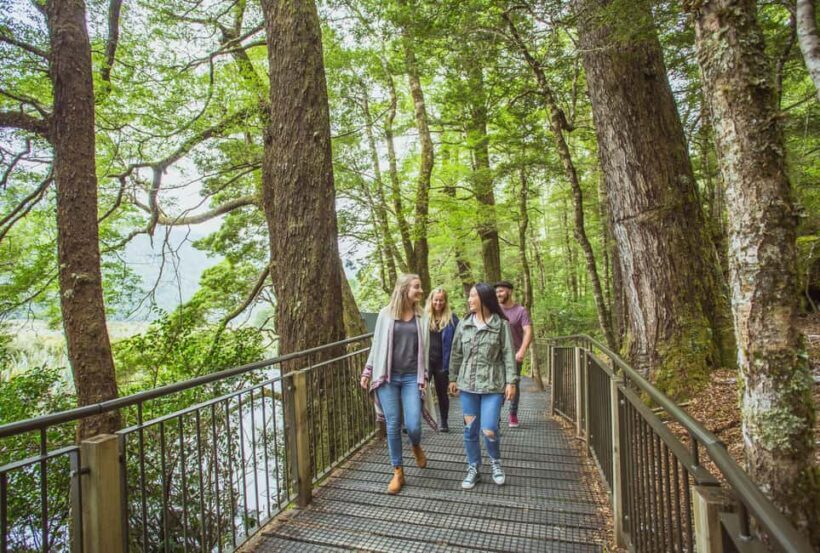 Queenstown: Milford Sound Coach & Cruise Full-Day Trip - FAQs