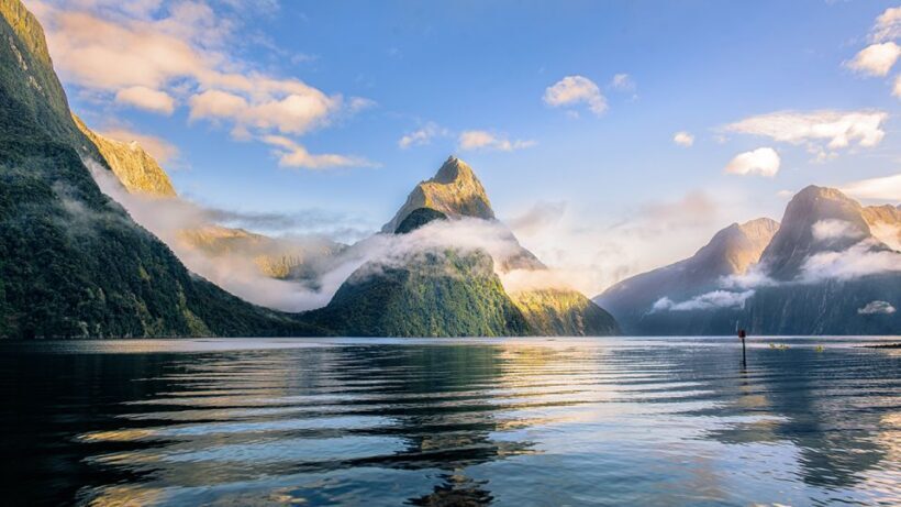 Queenstown: Milford Sound Small-Group Tour w Cruise & Lunch - Key Points