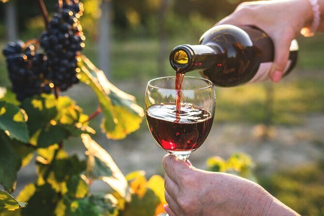 Queenstown More Than A Wine Tour - Why This Tour Offers Real Value