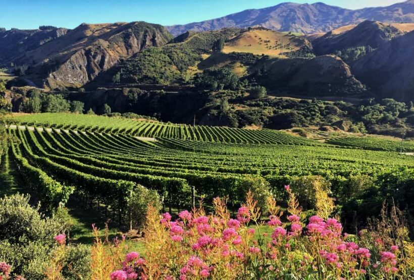 Queenstown: Premium Wine Tasting Tour - Final Thoughts