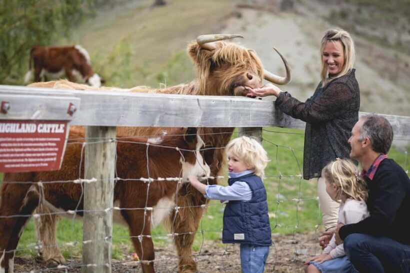 Queenstown: Queenstown Lake Cruise and Walter Peak Farm Tour - The Value of this Experience