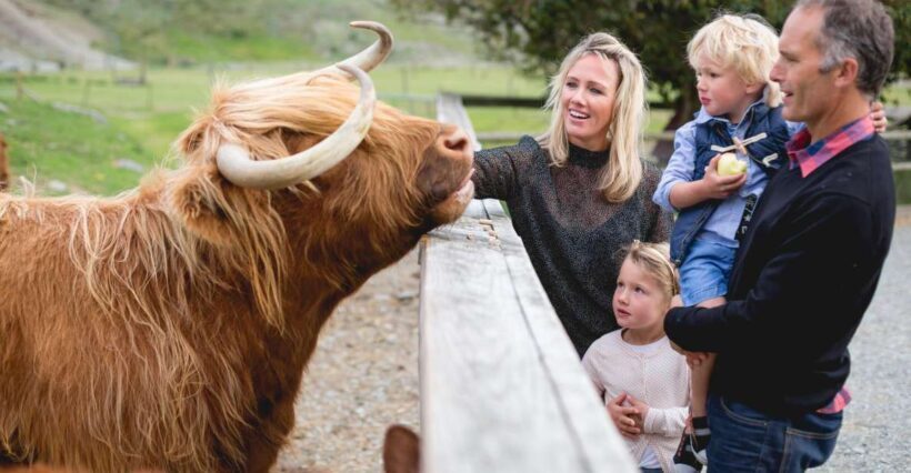 Queenstown: Queenstown Lake Cruise and Walter Peak Farm Tour - Who Will Love This Tour?