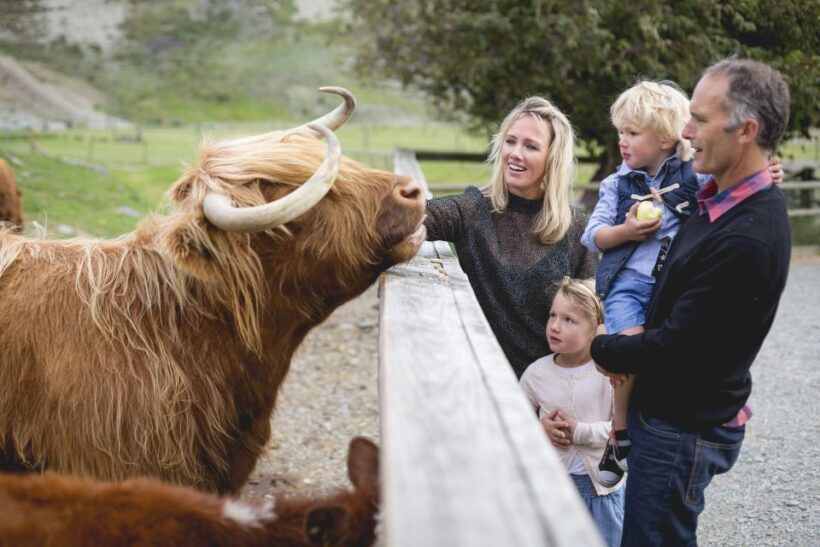 Queenstown: Queenstown Lake Cruise and Walter Peak Farm Tour - FAQs