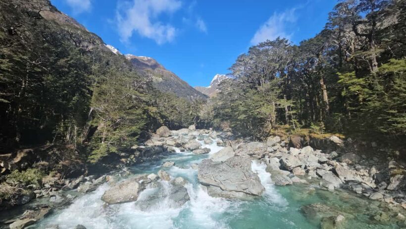 Queenstown: Routeburn Track Guided Full-Day Walk or Half Day - The Full-Day Experience: A Taste of Wilderness and Mountain Majesty
