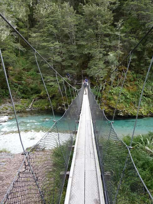 Queenstown: Routeburn Track Guided Full-Day Walk or Half Day - Authenticity and Value