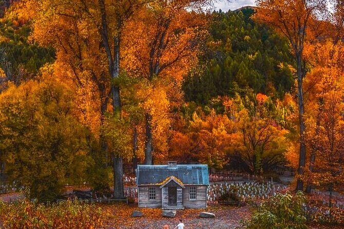 Queenstown to Christchurch One Way Tour Via Lake Tekapo & Mt Cook - Key Points