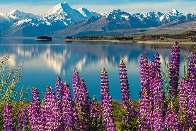 Queenstown to Christchurch One Way Tour Via Lake Tekapo & Mt Cook - Final Thoughts: Who Should Consider This Tour?