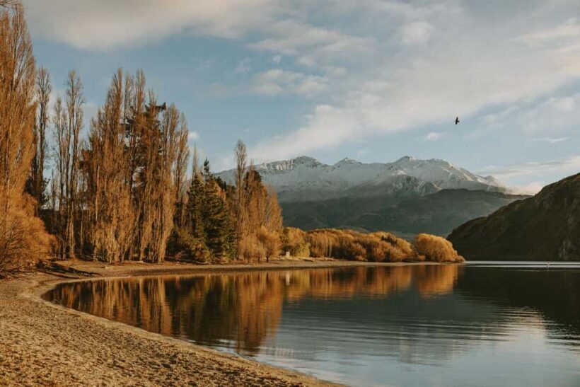 Queenstown to Christchurch via Franz Josef 2-Day Tour - The Sum Up