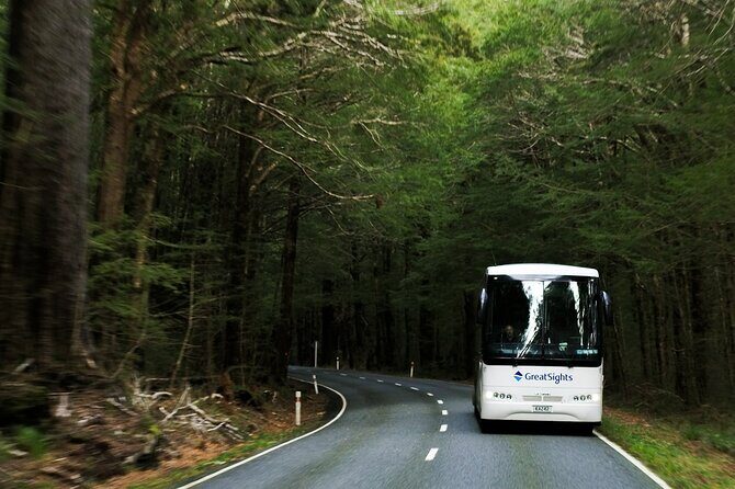 Queenstown to Franz Josef Day Tour - Who Should Consider This Tour?
