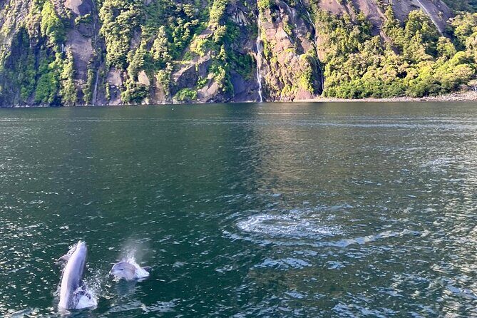 Queenstown to Te Anau via Milford Sound inc Cruise & Lunch - The Sum Up: Who Will Love This Tour?