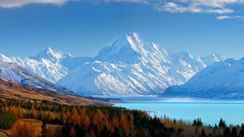 Queenstown to Tekapo Small Group Tour One Way - Key Points