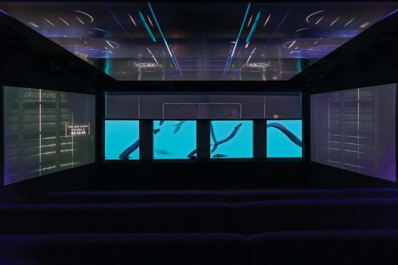 Queenstown: Underwater Theatre Experience Entry Ticket - How the Experience is Structured