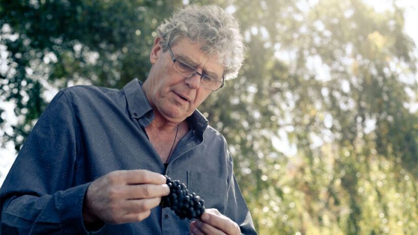Queenstown: Valli Wine Tasting Experience - An Authentic Taste of Central Otago’s Wine Scene
