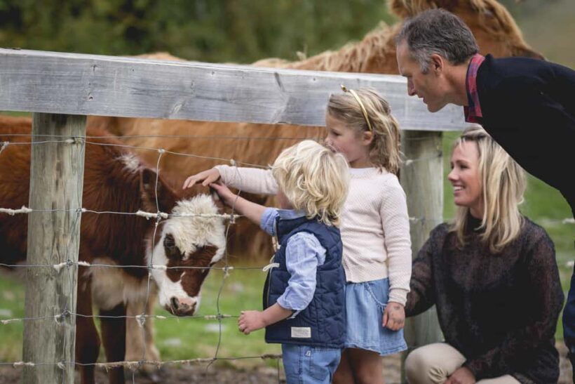 Queenstown: Walter Peak Farm Tour and Lake Cruise - Detailed Review of the Walter Peak Farm Tour and Lake Cruise