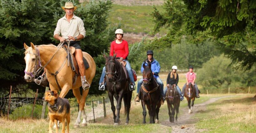 Queenstown: Walter Peak Horse Trek & Queenstown Lake Cruise - Key Points