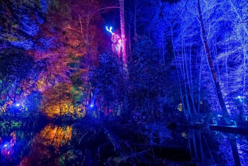 Queenstown: Whimsical Sensory Night Walk at LUMA Enchanted - An Introduction to the LUMA Enchanted Night Walk
