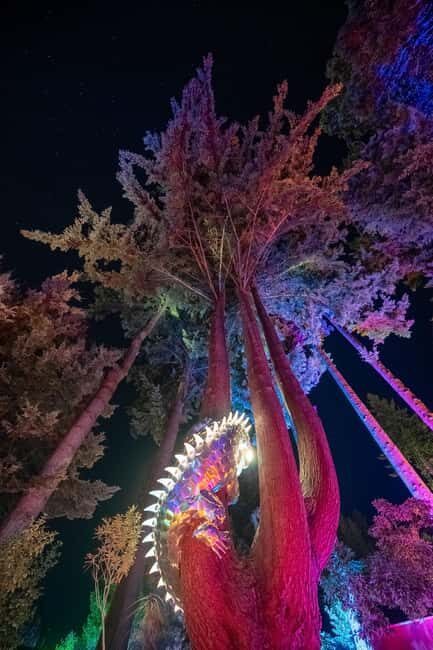 Queenstown: Whimsical Sensory Night Walk at LUMA Enchanted - The Value of the Experience