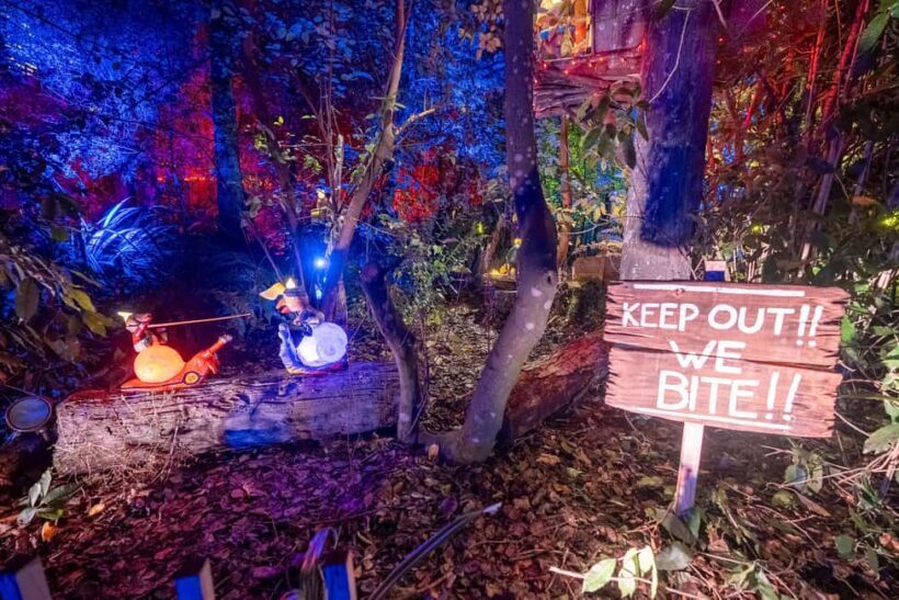 Queenstown: Whimsical Sensory Night Walk at LUMA Enchanted - Practical Tips for Visiting