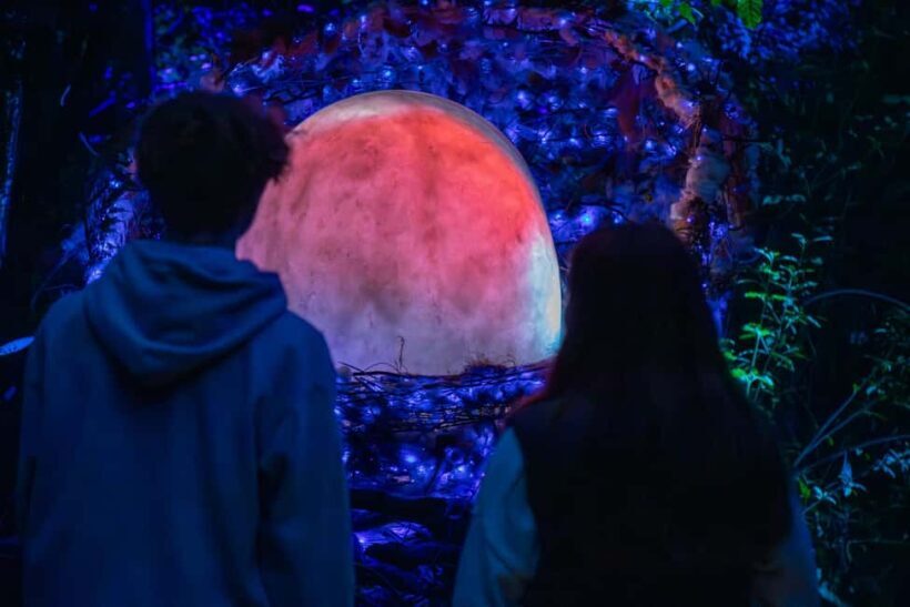 Queenstown: Whimsical Sensory Night Walk at LUMA Enchanted - Authentic Voices: What Visitors Say