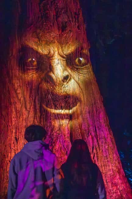 Queenstown: Whimsical Sensory Night Walk at LUMA Enchanted - FAQs About LUMA Enchanted