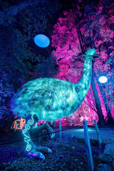 Queenstown: Whimsical Sensory Night Walk at LUMA Enchanted - Final Thoughts