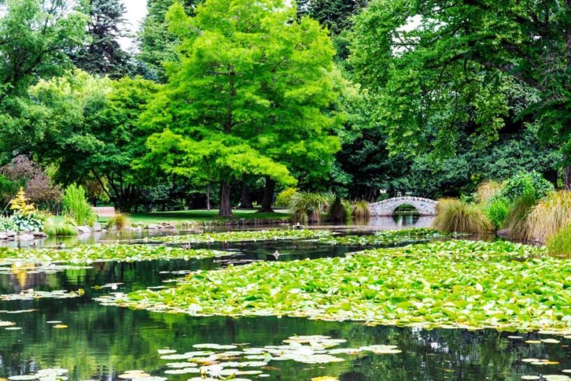 Queenstown Winter Walk: Enchanted Holiday Magic - Who Would Love This Tour?