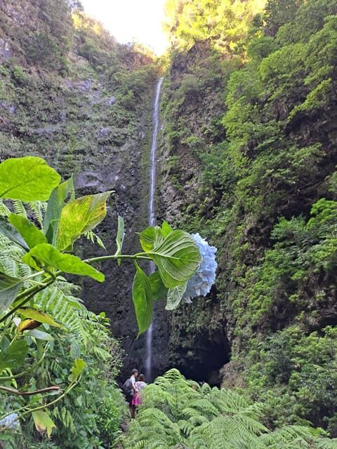 Queimadas Caldeirão Verde Walking tour with guide - Authentic Experiences and Traveler Feedback