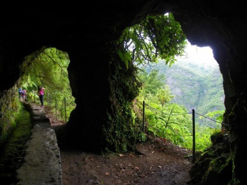 Queimadas Caldeirão Verde Walking tour with guide - Who Would Love This Experience?