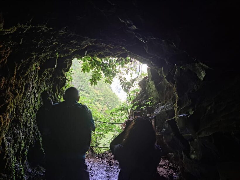 Queimadas Caldeirão Verde Walking tour with guide - Final Thoughts