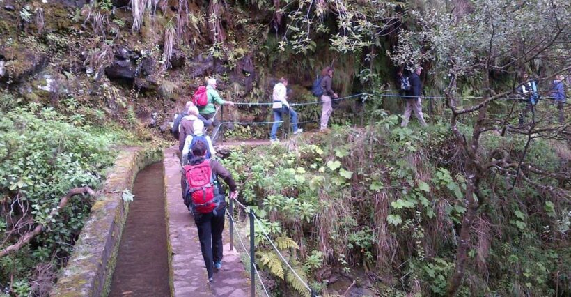 Queimadas Natural Park 5-Hour Guided Hike - An In-Depth Look at the Experience
