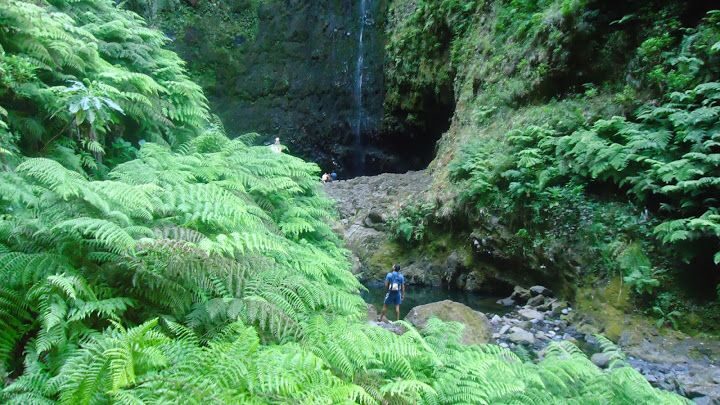 Queimadas Natural Park 5-Hour Guided Hike - Authentic Feedback from Travelers