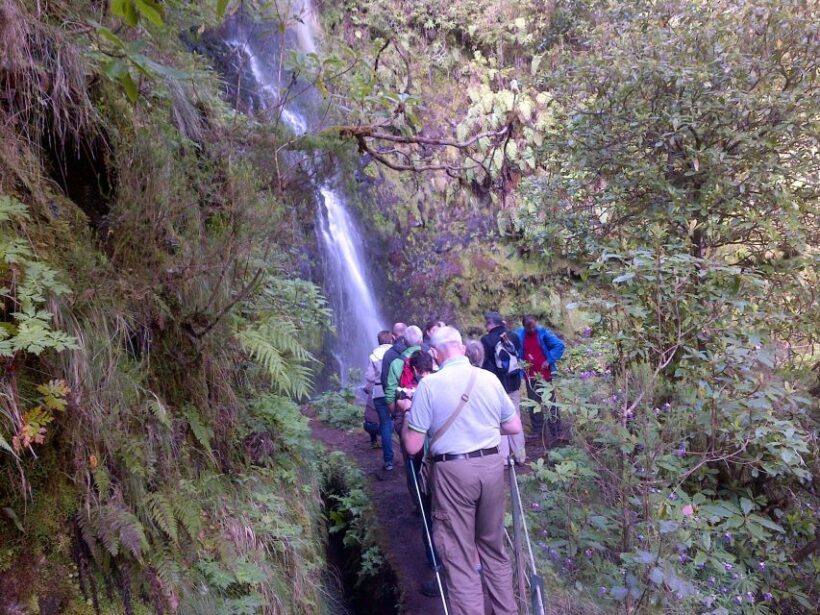 Queimadas Natural Park 5-Hour Guided Hike - The Sum Up: Who Should Consider This Tour?