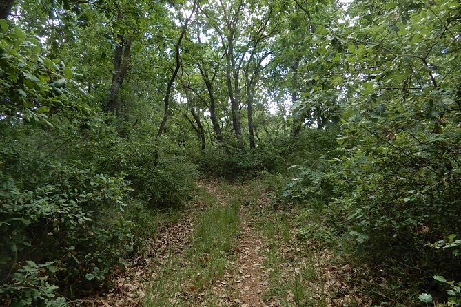 Querceti di Quasano: excursion in the Alta Murgia National Park - The Experience: What You Get for Your Money