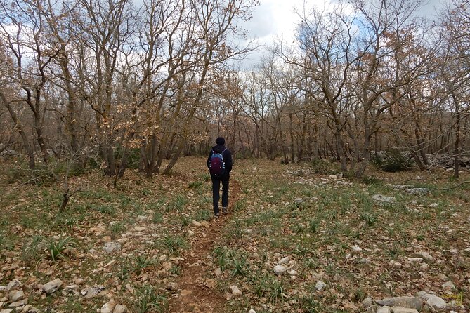 Querceti di Quasano: excursion in the Alta Murgia National Park - FAQ