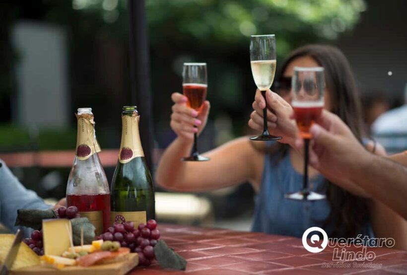 Querétaro: Art, Cheese and Wine Route - The Experience Provider