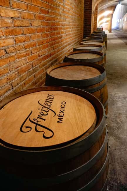 Querétaro: Art, Cheese and Wine Route - Who Will Enjoy This Tour?