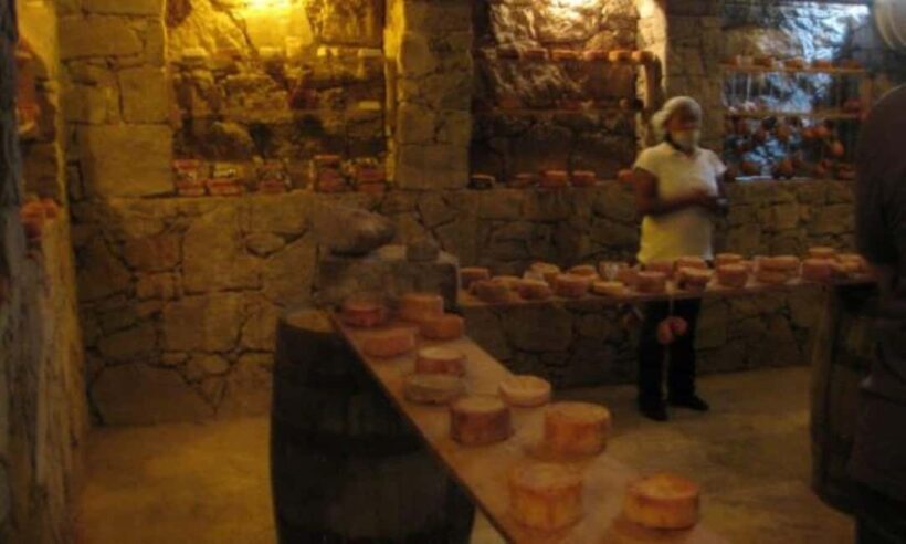 Querétaro: Cheese and Wine Tasting Tour - A Practical Look at the Tour