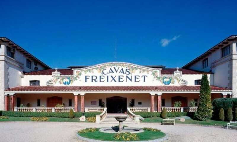 Querétaro: Cheese and Wine Tasting Tour - Who This Tour Is Best For