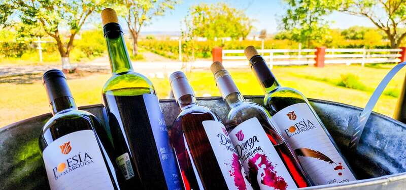 Querétaro: Haciendas, Vineyards, and Magical Towns Day Trip - The Sum Up