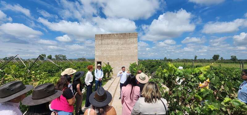 Querétaro: Independence Valley - Guanajuato Wine Tour - An In-depth Look at the Tour Experience