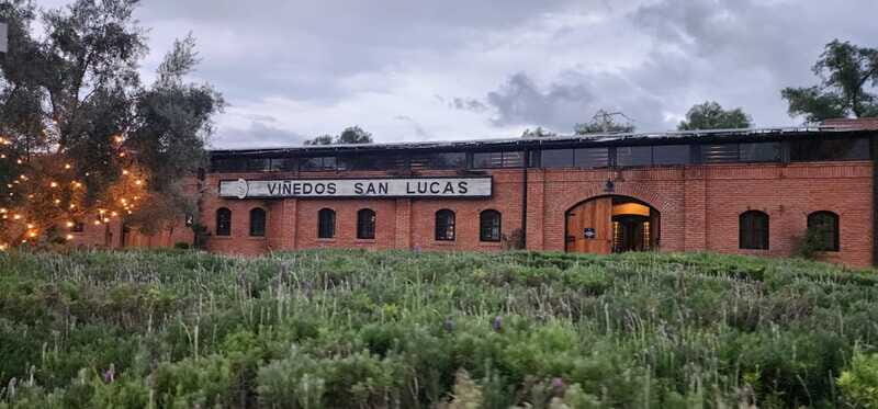 Querétaro: Independence Valley - Guanajuato Wine Tour - The Sum Up